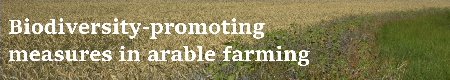 Arable Farming - LIFE – Insektenfördernde Regionen