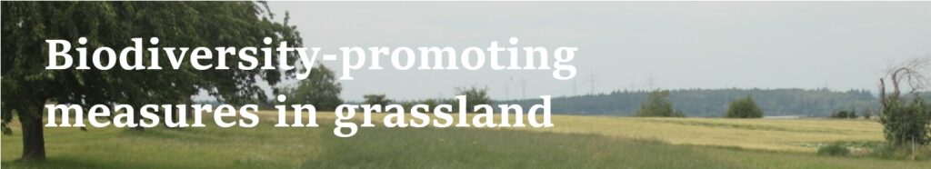 Grassland - LIFE – Insektenfördernde Regionen